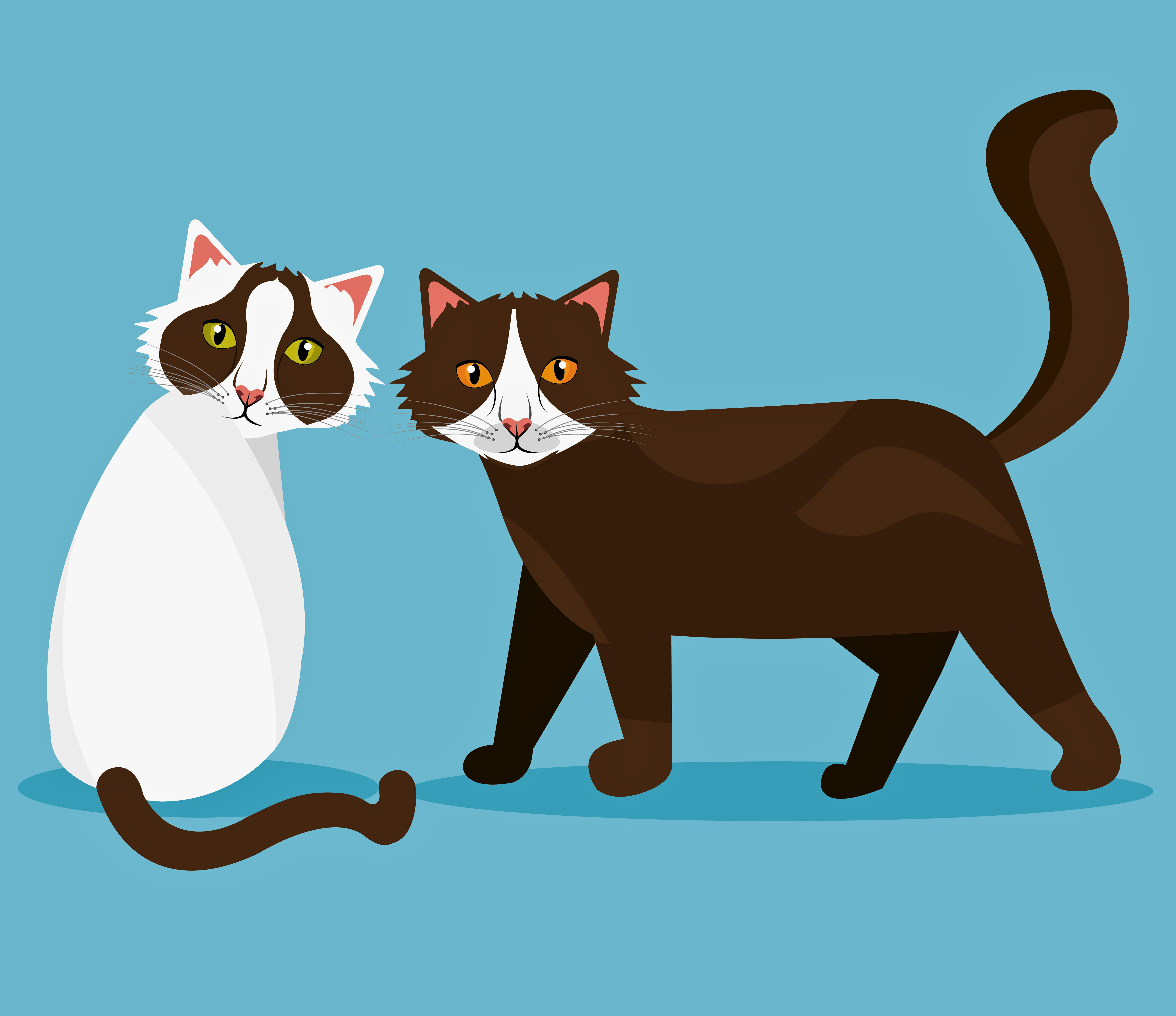 Dispangtan Kota Cimahi Rencanakan Buat Shelter Kucing Liar - PPID Kota ...